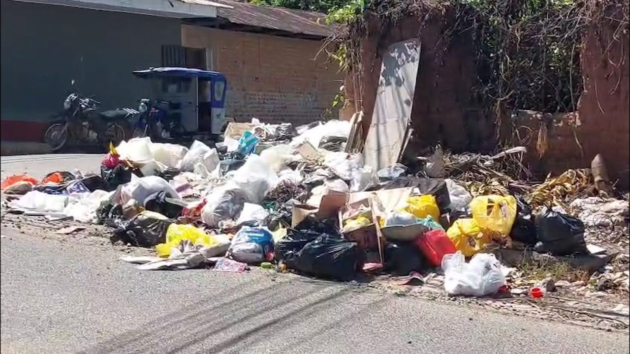 Tarapoto: Piden a vecinos del Jr. Lamas sacar su basura solo cuando ...